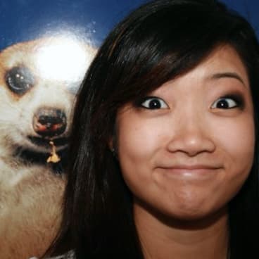 CodeCrafters | Advanced programming challenges